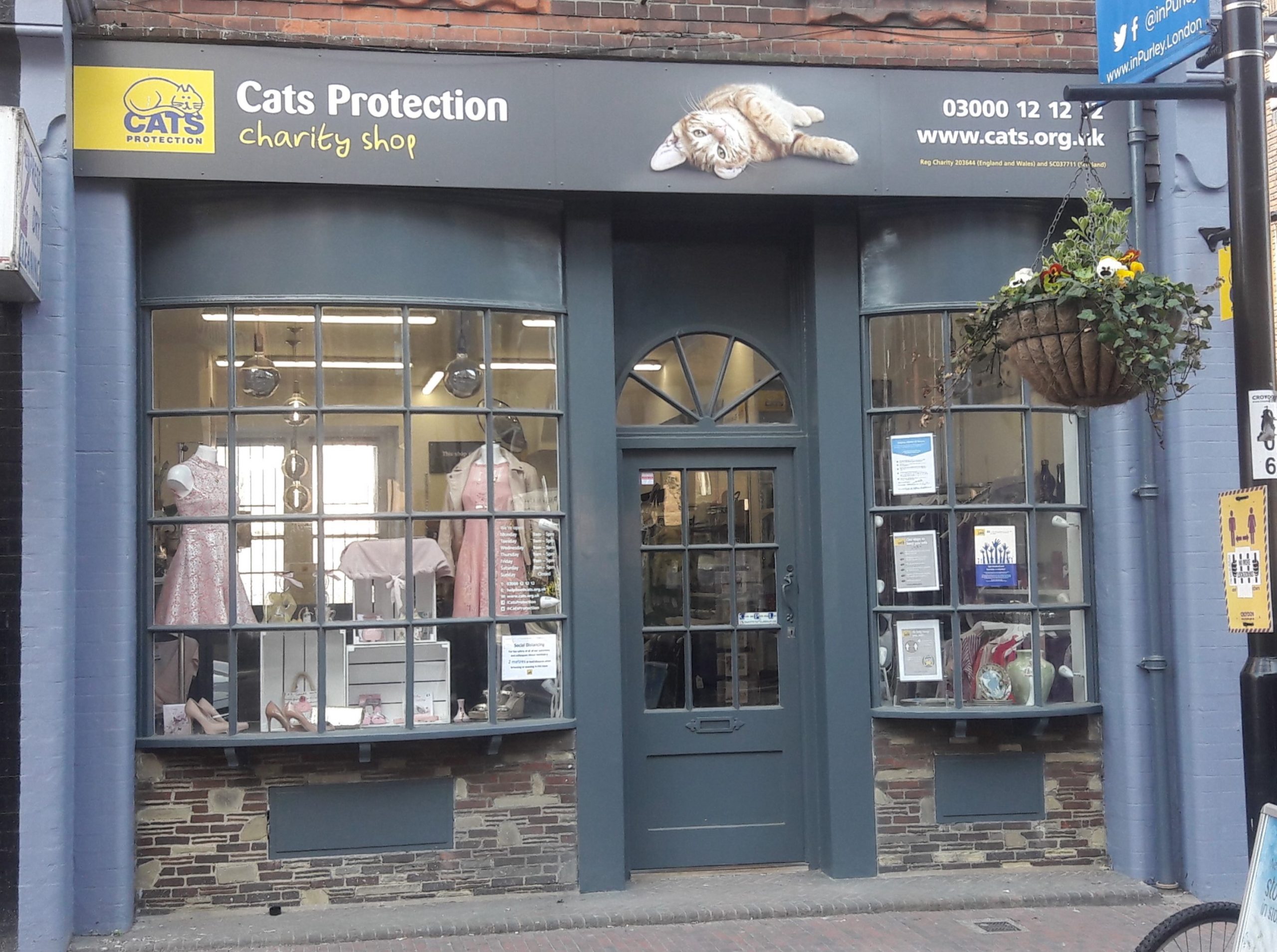 Business of the Month - Cats Protection Charity Shop - Purley Business ...